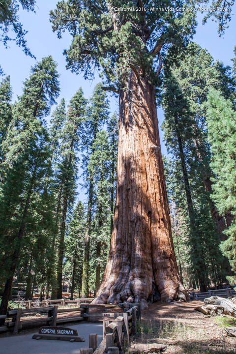 Road Trip pela Califórnia - Minha Vida Comigo